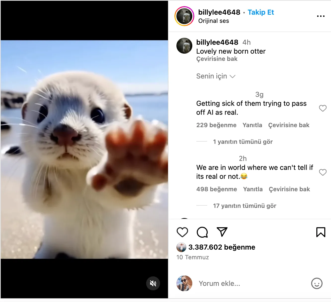 Videodaki yavru su samuru gerçek mi? - Teyit