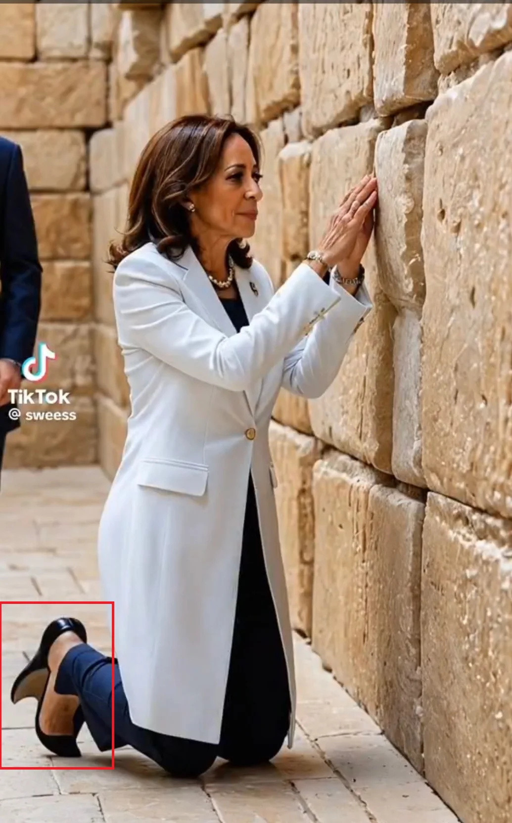 Kamala Harris'i Ağlama Duvarı'nda gösteren fotoğraf gerçek mi? - Teyit