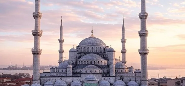 Is the picture the advertisement brochure for Turkey? - Teyit