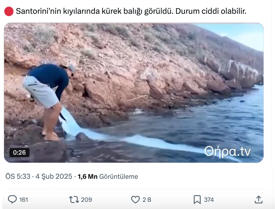 Videonun Santorini kıyılarındaki kürek balığını gösterdiği iddiası - Teyit