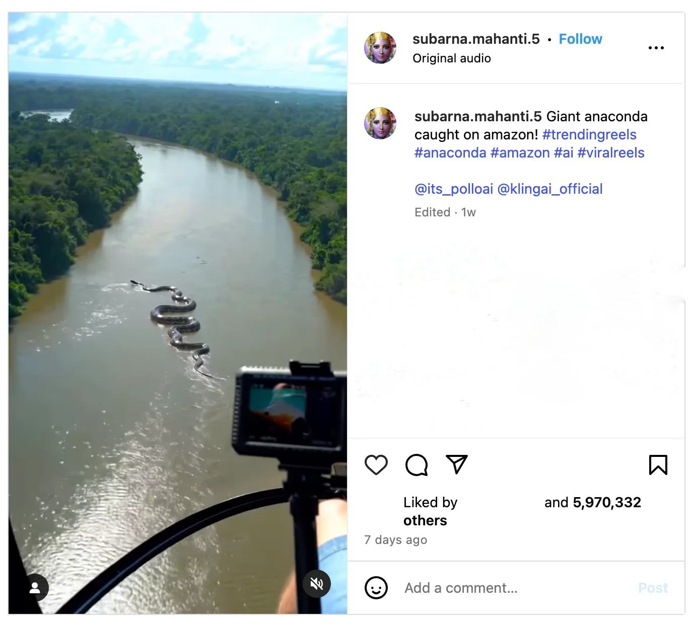 Amazon çayında çəkilən və dünyanın ən böyük Anakondasını göstərən video ...