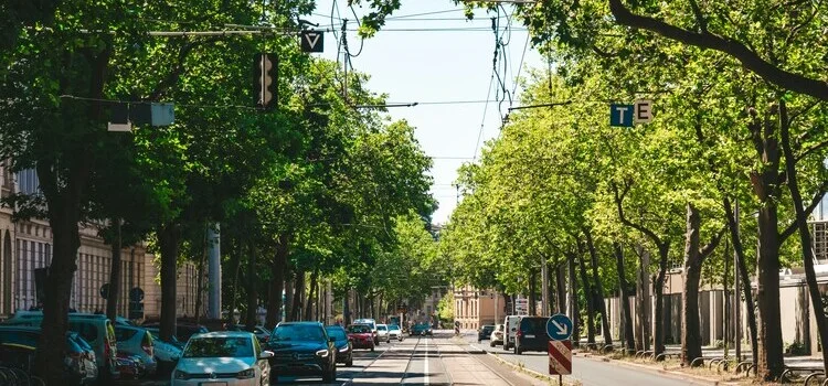 Where is the shade when the sun is overhead? - Teyit