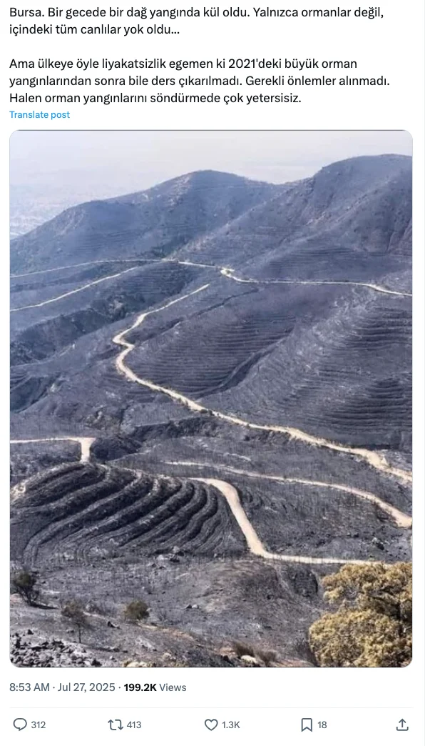 Görüntü Temmuz 2025 Bursa yangını sonrasına mı ait? - Teyit