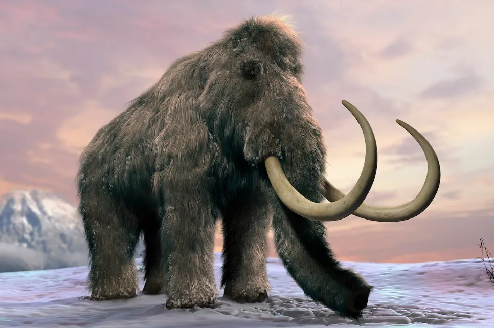 30 bin yıllık bozulmamış mamut yavrusu bulunduğu doğru mu? - Teyit