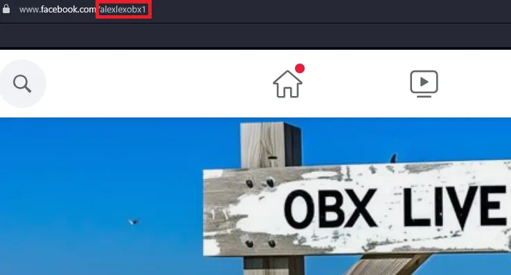Pembe bir yunusu gösteren fotoğraf gerçek mi? - Teyit
