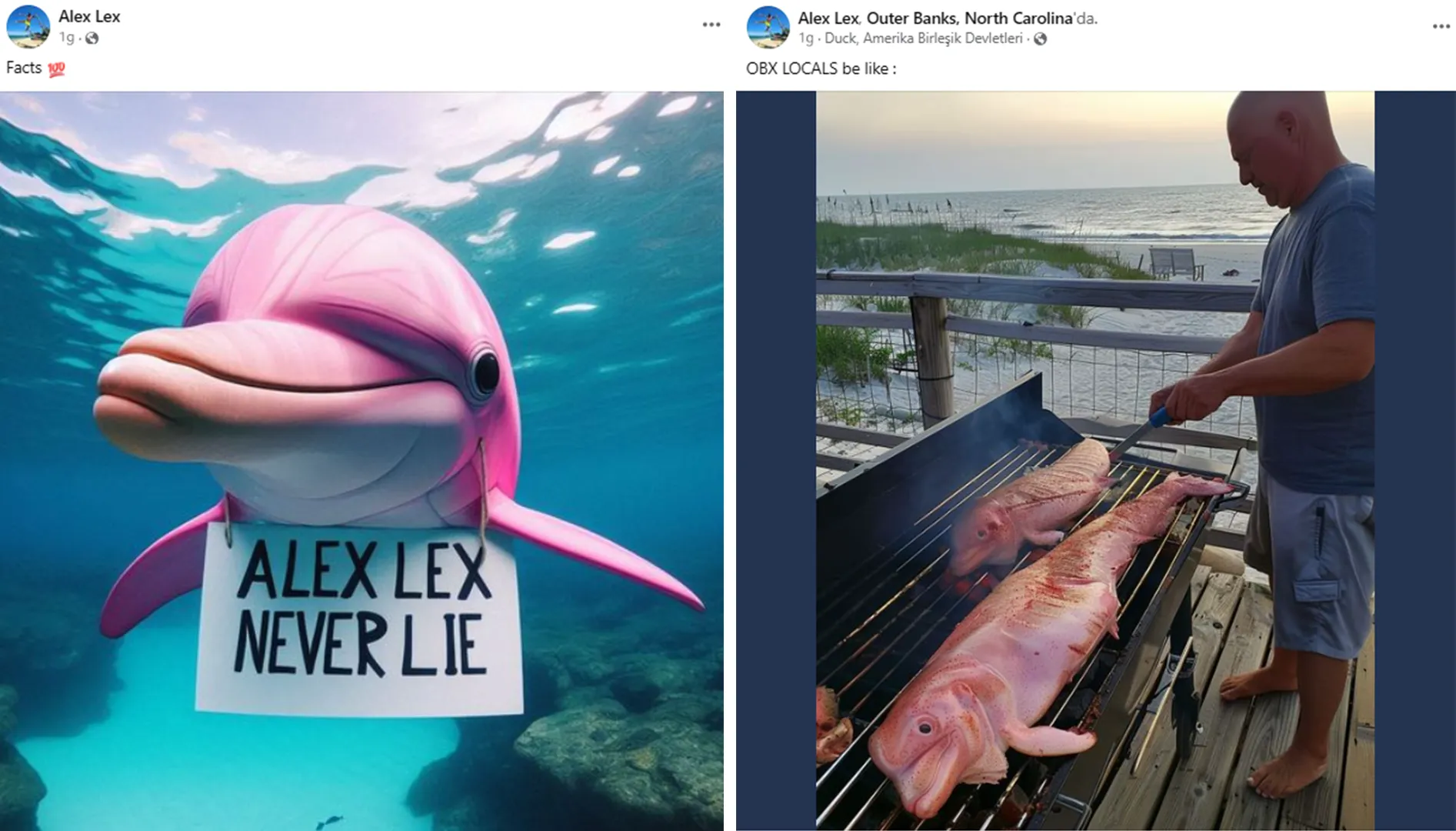 Pembe bir yunusu gösteren fotoğraf gerçek mi? - Teyit