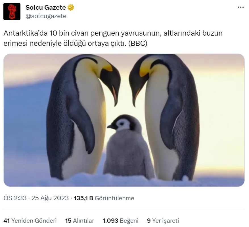Antarktika’da eriyen buzullar nedeniyle 10 bin penguen yavrusu öldü mü ...