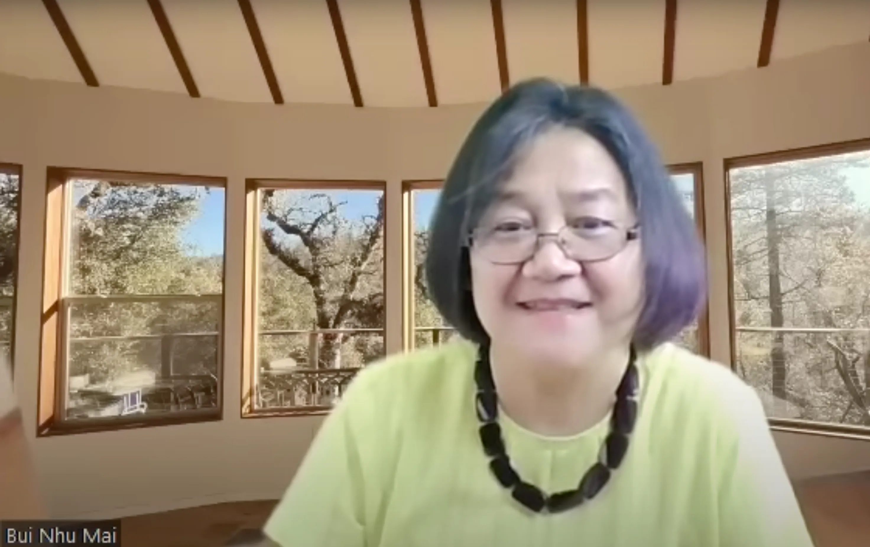 Vietnamlı büyükannenin yanlış bilgiyle mücadelesi - Teyit