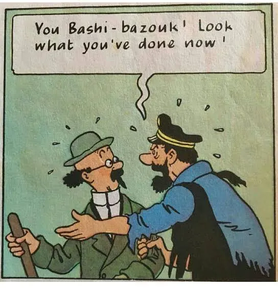 Bashi-bazouk kelimesinin İngilizceye Türkçeden geçtiği iddiası - Teyit