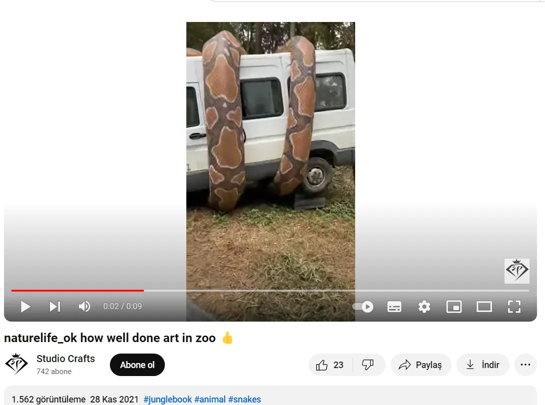 Dev anakondanın arabayı sardığı videonun gerçek olduğu iddiası - Teyit