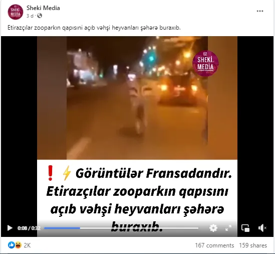 Fransa etirazları zamanı zooparkdan heyvanlar buraxıldımı? - Teyit