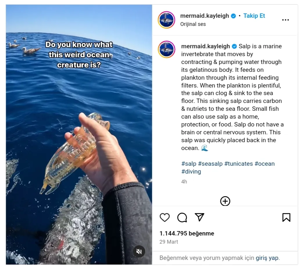 Video Türk bilim insanlarının keşfettiği jelibon balığını mı gösteriyor ...