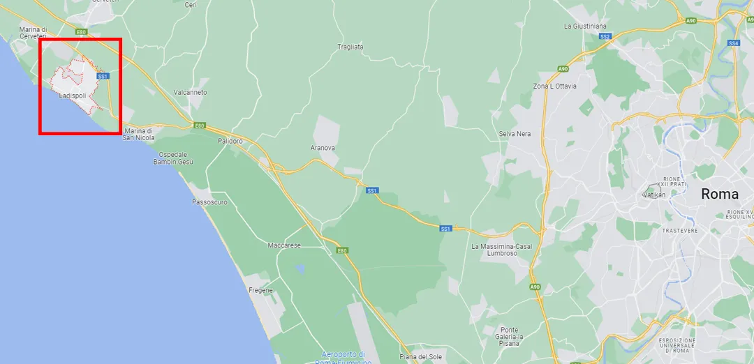 İtalya sokaklarında gezen aslan videosu gerçek mi? - Teyit