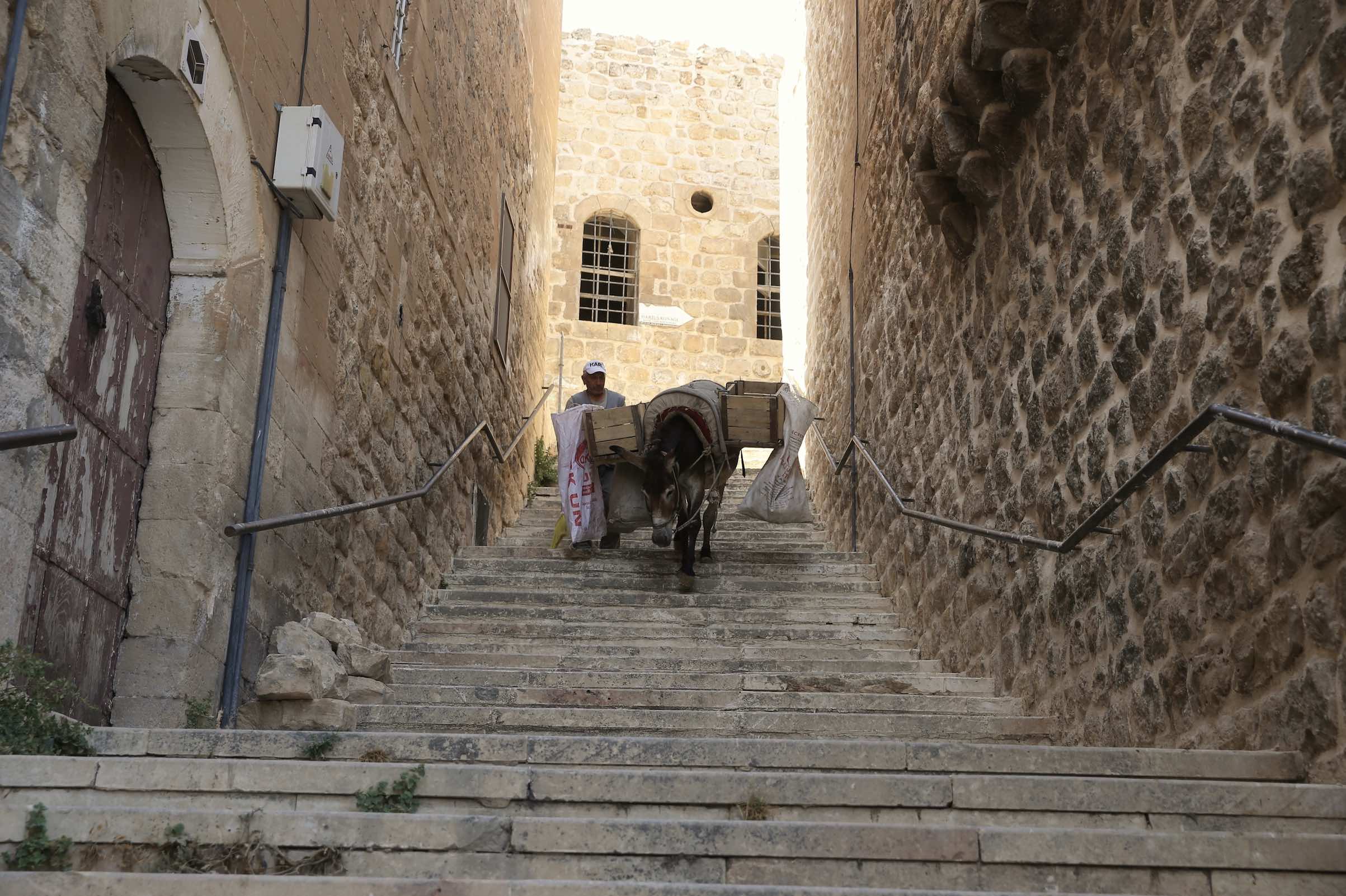 Mardin’in kadrolu eşekleri: Mesaileri beş saate mi indirildi? - Teyit