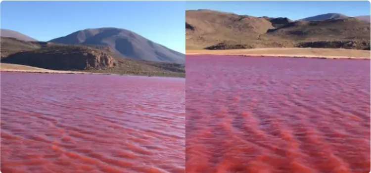 Video Nil çayının qırmızı rəngə çevrildiyini göstərir? - Teyit